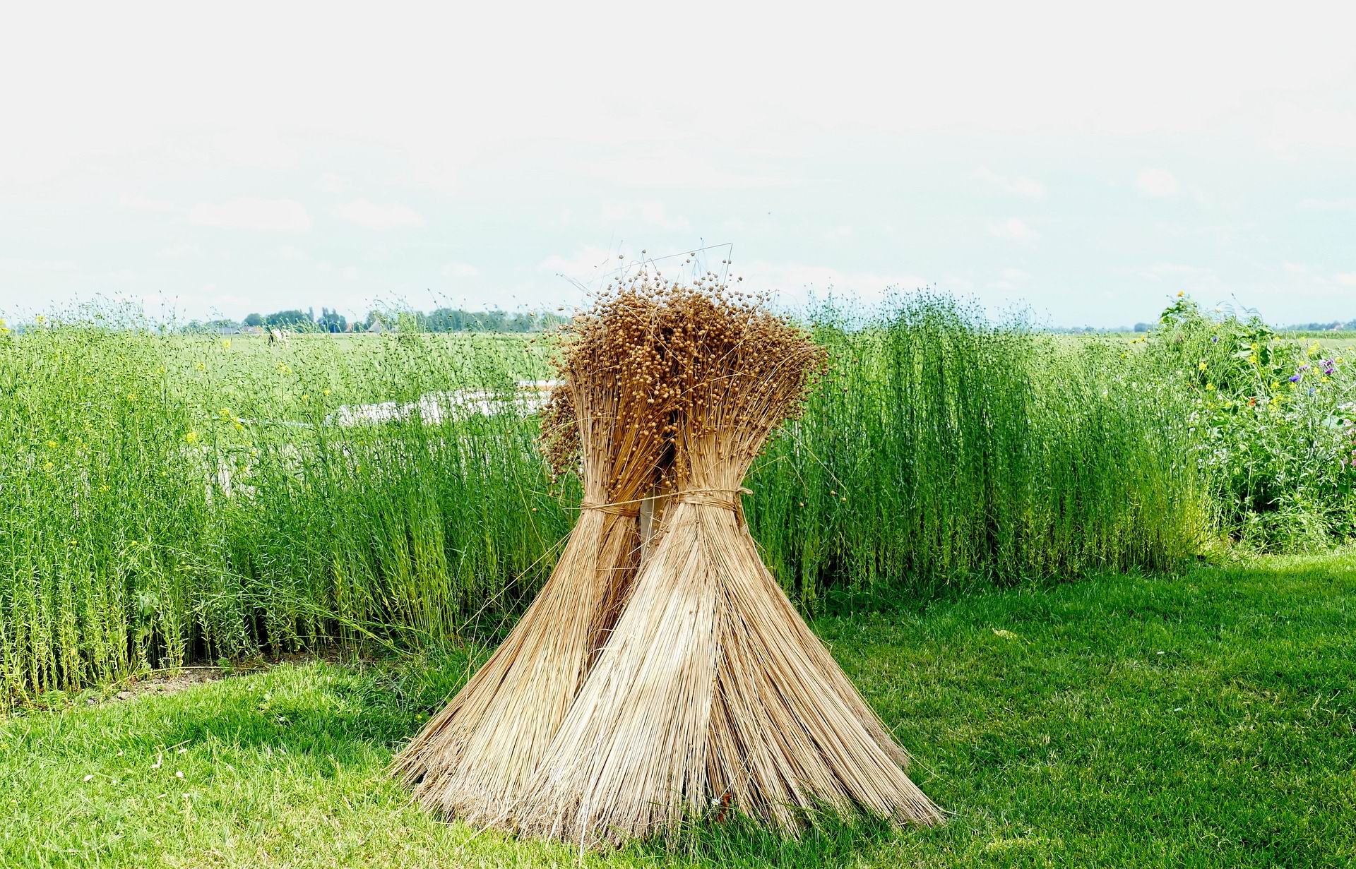 Encouraging Bruised Reeds & Smoking Flax – The Happy Wordcrafter